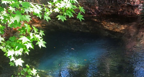 Gemini Springs Park | DeLand, Florida