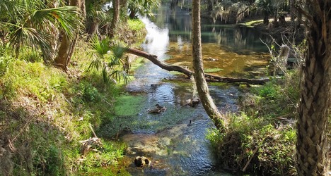 Gemini Springs Park | DeLand, Florida