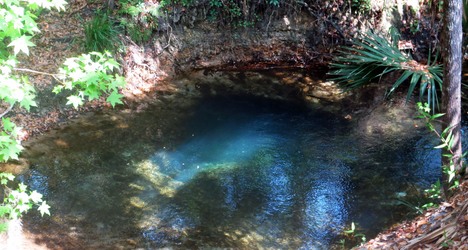 Gemini Springs Park | DeLand, Florida