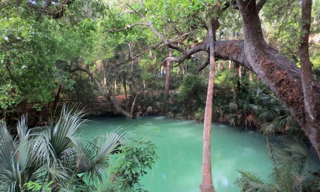 Green Springs Park | DeLand, Florida