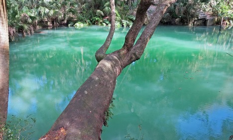 Green Springs Park | DeLand, Florida