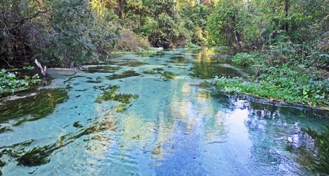 Rock Springs Run State Reserve | DeLand, Florida
